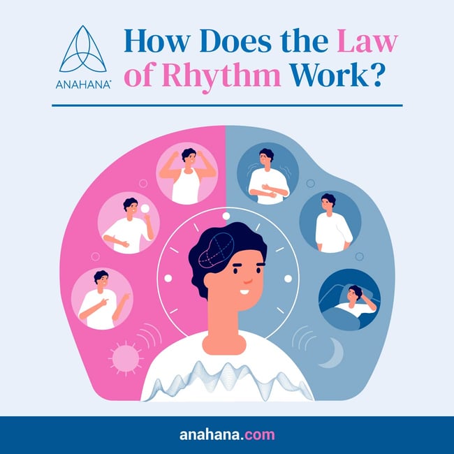 Harmony in Motion: Exploring the Law of Rhythm