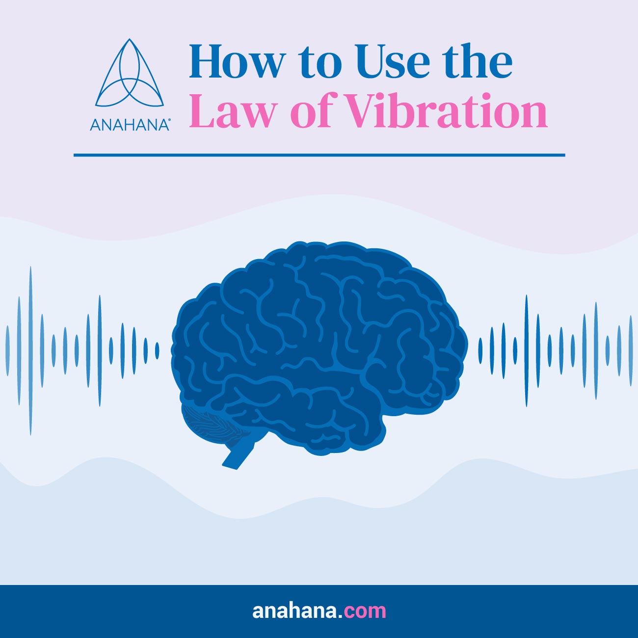 Transform Life with the Law of Vibration